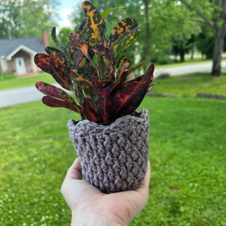 24 Creative Crochet Plant Holders: Free Patterns & Tips - KnitterKnotter