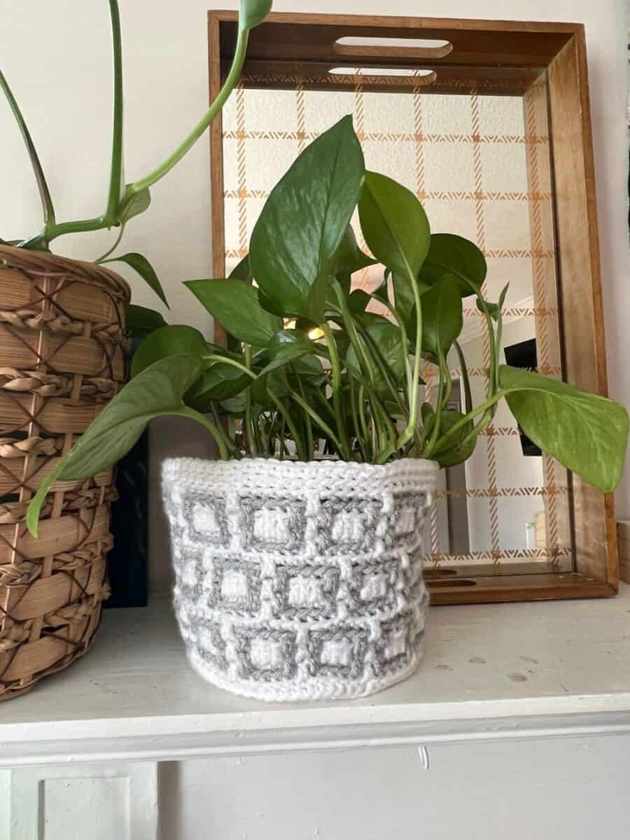 24 Creative Crochet Plant Holders: Free Patterns & Tips - KnitterKnotter