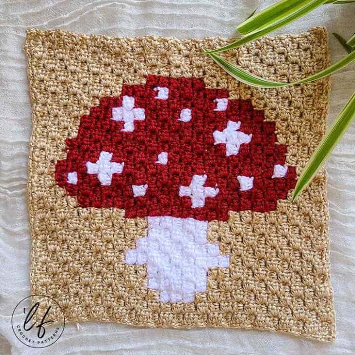 40 Cute Crochet Mushroom Patterns You'll Want to Make - KnitterKnotter